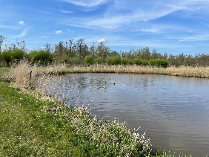 KRW-uitvoeringsprogramma :: SAWA Wateradvies